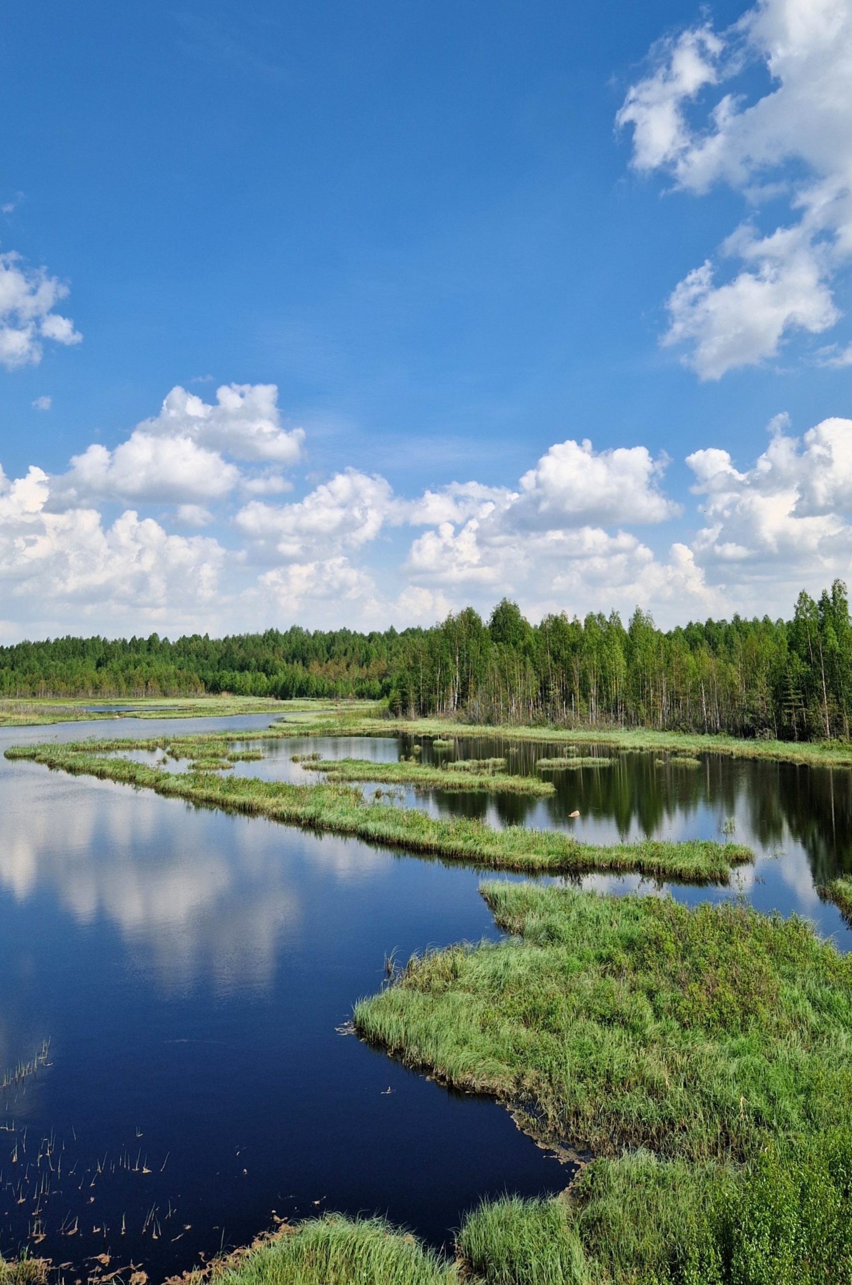 NEVALA – Turvetuotantoalueiden ennallistamisen selvitystä ja neuvontaa ...